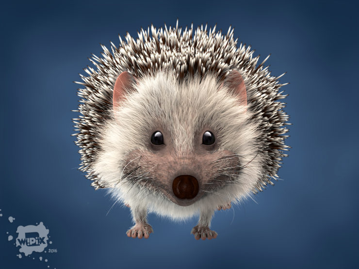 Spontex | Wipix© graphic creation